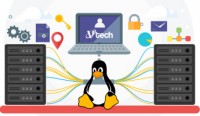 Web Design & Web Hosting Company | Vtechpk